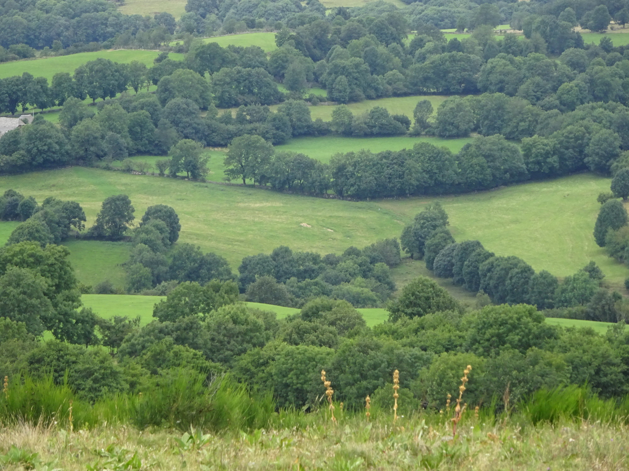 OSez l'AgroÉcologie : Bocage : retour sur image
