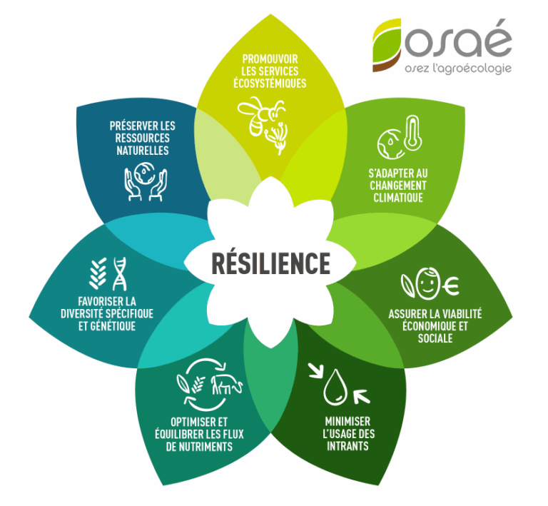 L'agroécologie - OSAÉ